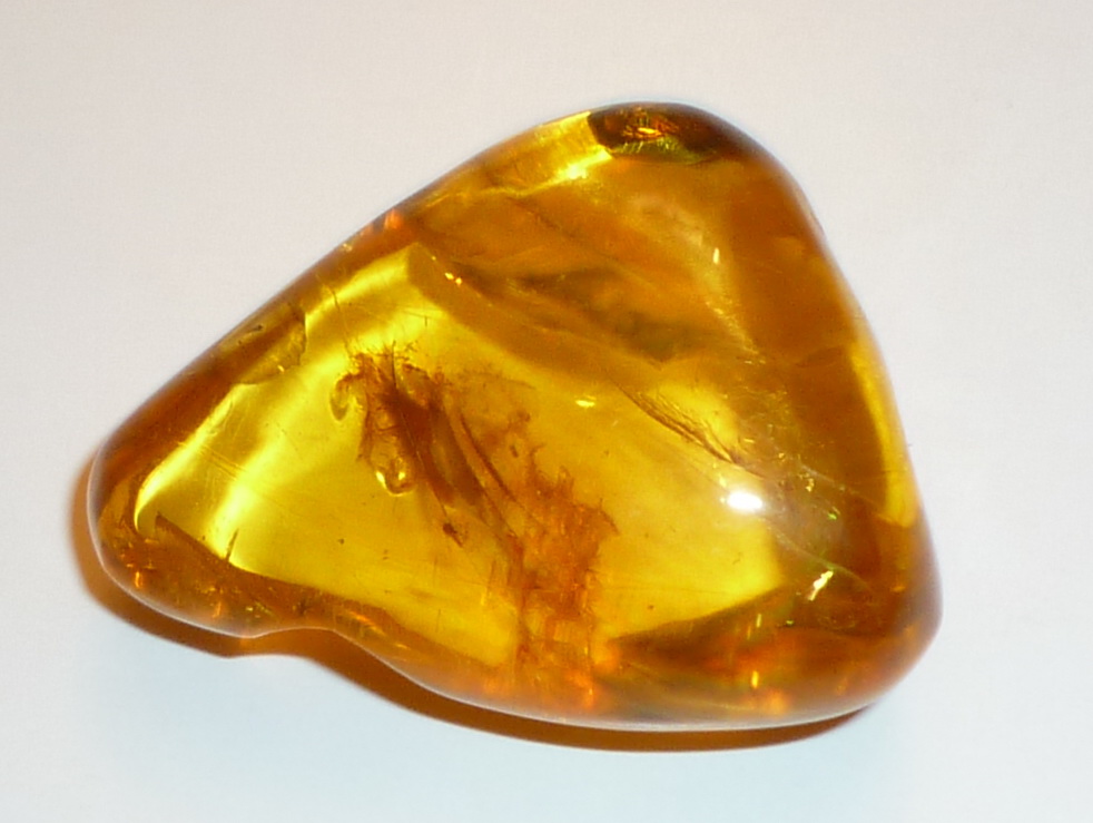 Baltischer Bernstein mut Einschluß, Mücke, Fliege, Inkluse Insekt