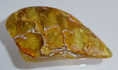 echter Bernstein, Ostseebernstein, echte Bernsteine